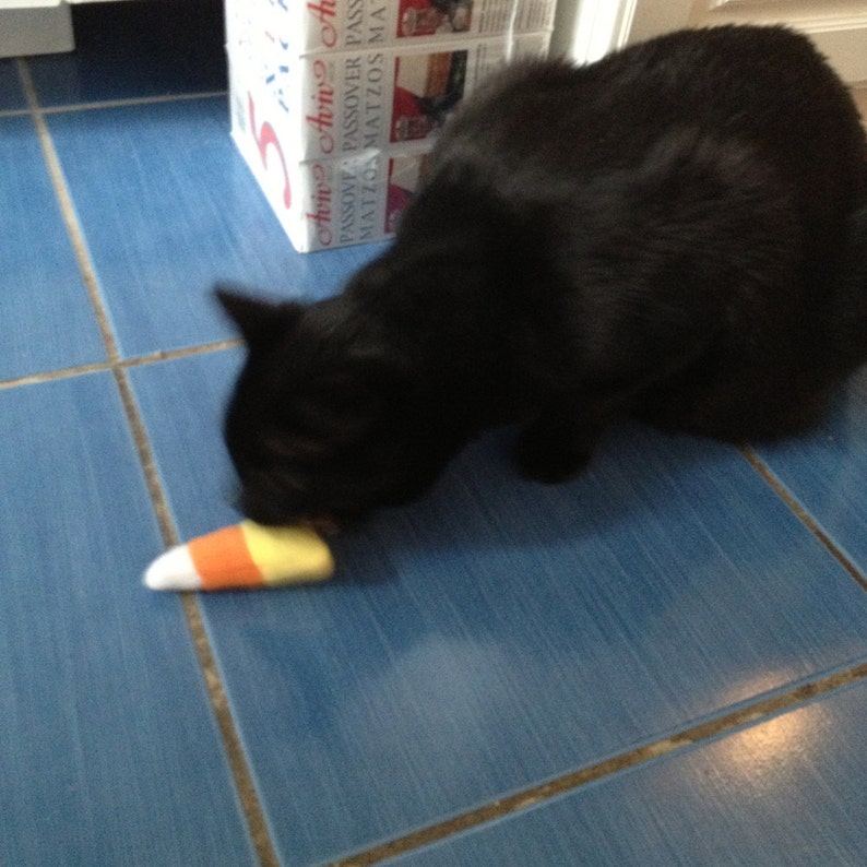 Candy Corn Organic Catnip Cat Toy | Etsy