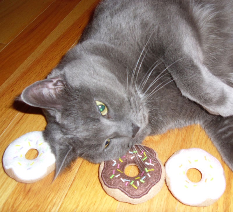 Confetti Donut With Sprinkles Organic Catnip Cat Toy | Etsy