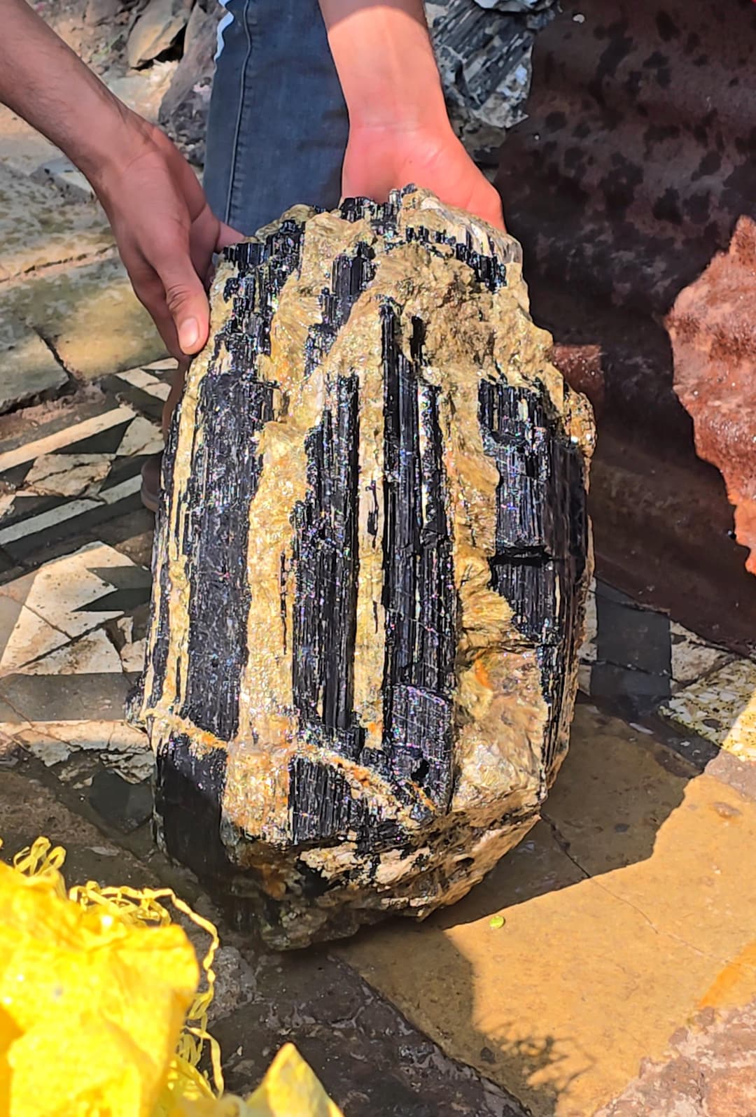 Giant Black Tourmaline Log: Rare Golden Mica, Vessonite, EMF Protection ...