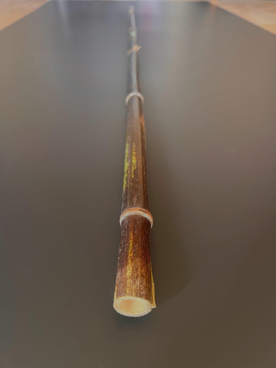 Japanese Kurotake Bamboo – Early Stage, Natural Mottled Color, Black ...