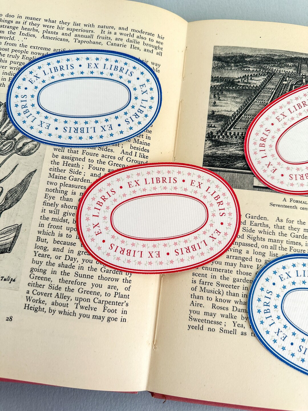 6 Floral Bookplate Label / Ex Libris / Self Adhesive Book Label - Etsy