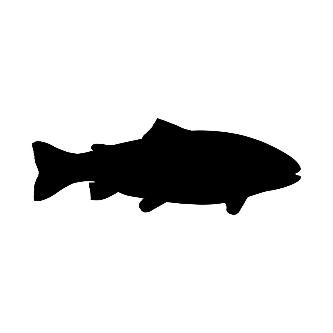 Minimalist Trout Silhouette SVG | Fishing Icon (digital Download) - Etsy