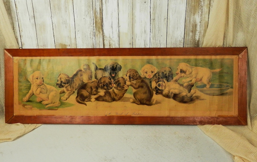 A Yard of Puppies, Yard Long Puppies, Vintage 1904 Lithograph, Wood ...