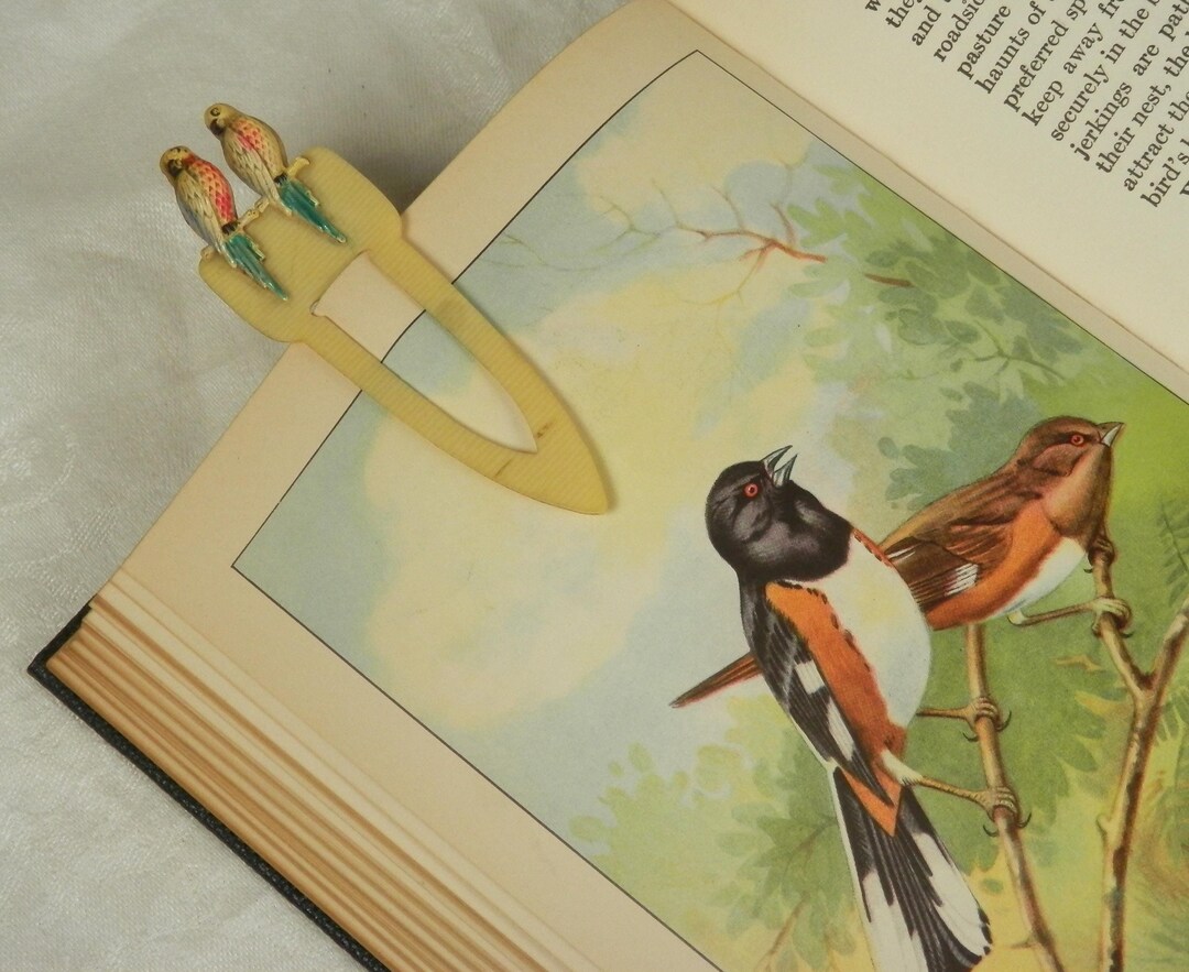 Vintage Celluloid Parrot Bookmark, Two Colorful Macaw Parrots Top of ...