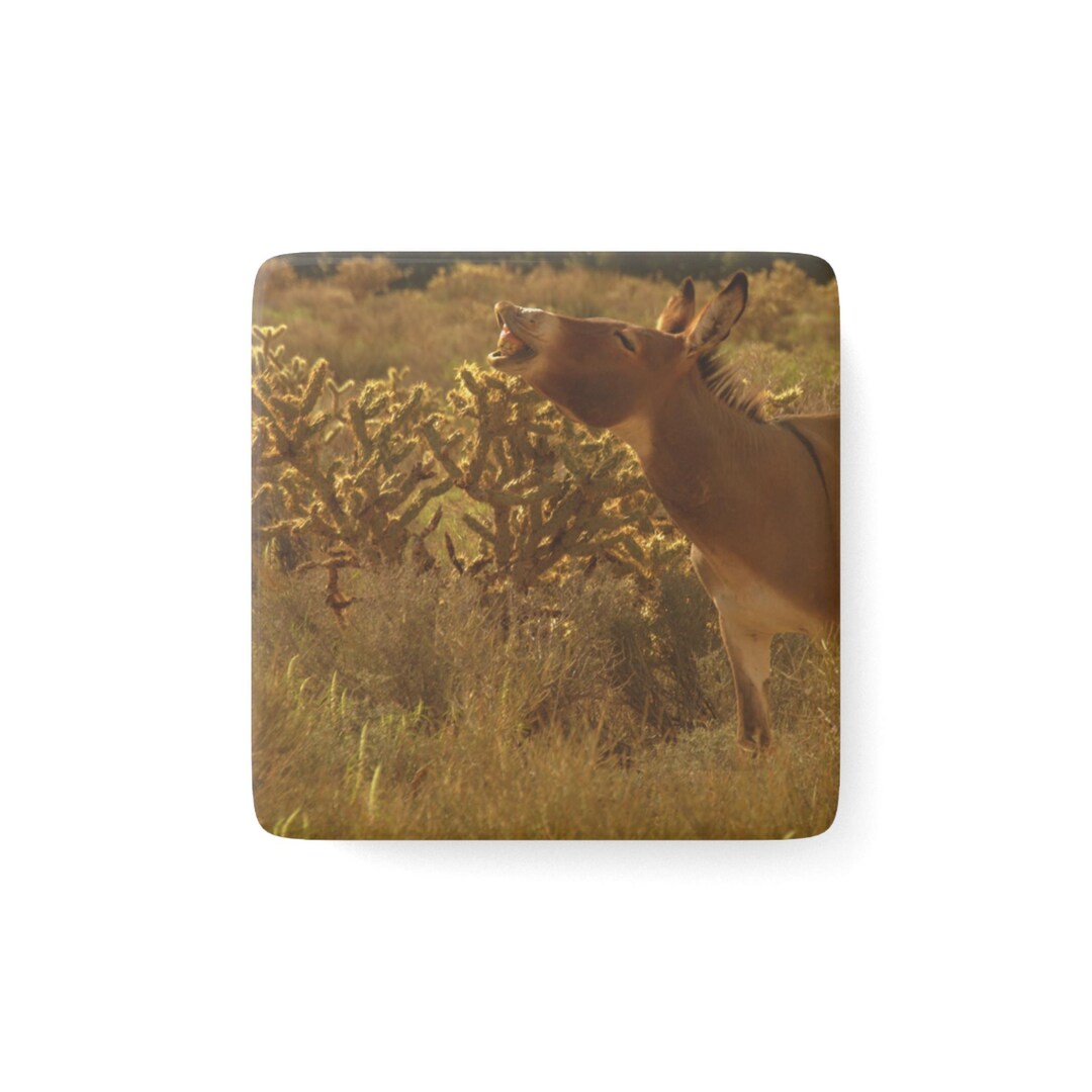Smiling Wild Burro Wildlife 2" Porcelain Magnet | Wildlife - Etsy
