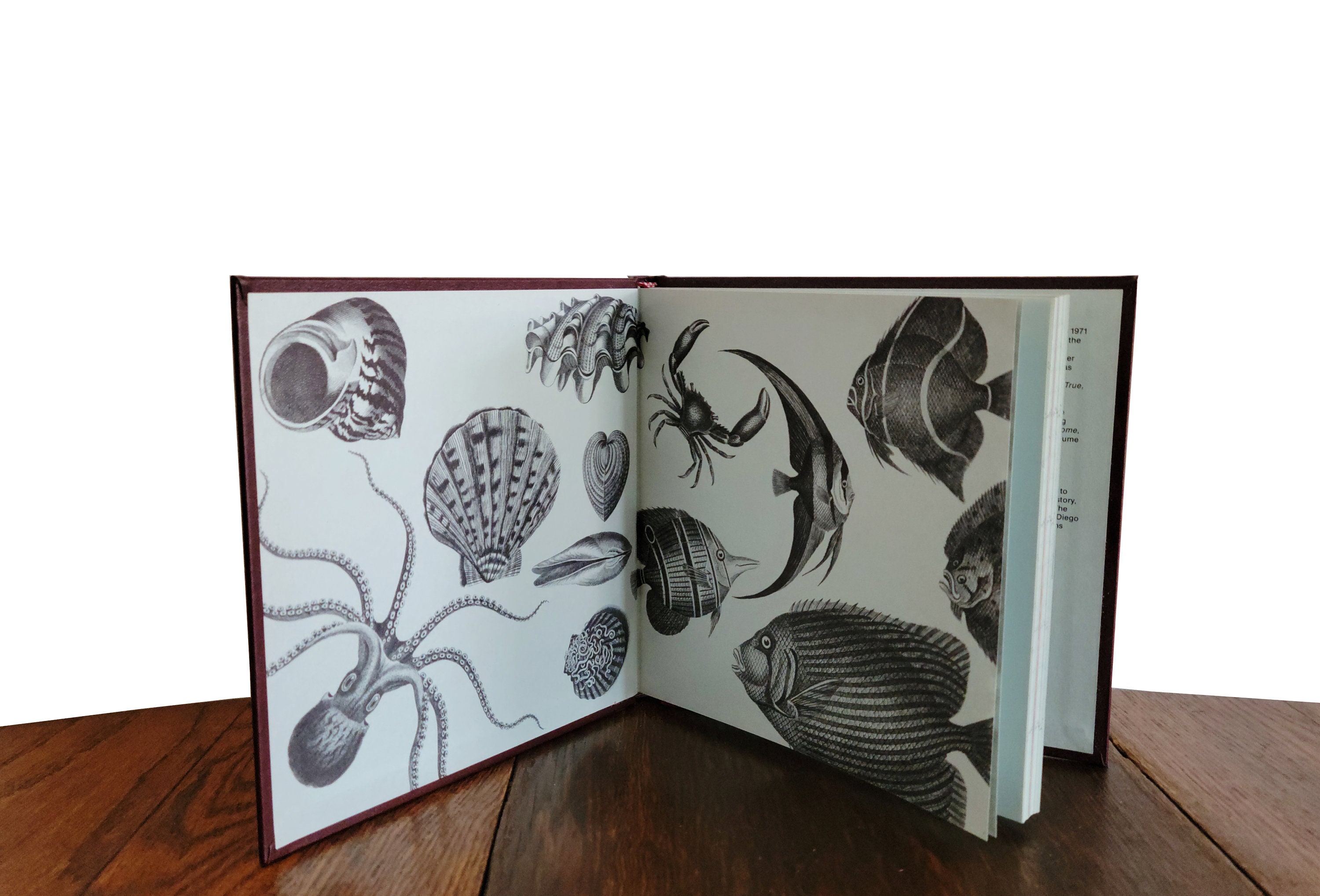 Vintage Diary Planner Shell Desk Diary of 1973 Vintage Calendar Daily ...