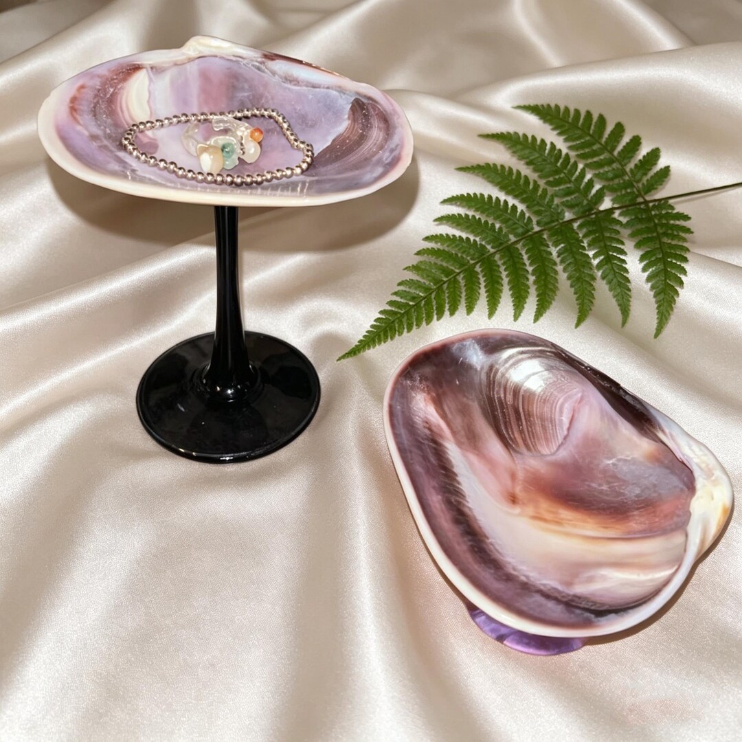 One of a Kind Giant Mother of Pearl Clam Shell Dish,natural Seashell ...