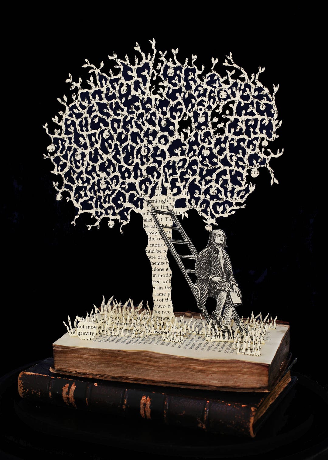 Isaac Newton Apple Tree Birthday Greeting Card Science Lover Father's ...