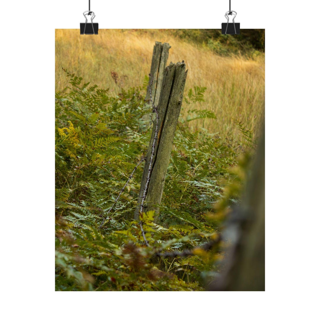 Rusty Barbed Wire Fence Matte Vertical Poster | Rustic Mossy Wood Post ...