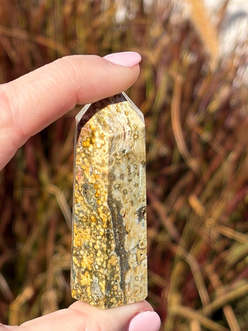 Sea Jasper Tower | Grounding & Joy Stone | Polished Orbicular Jasper ...