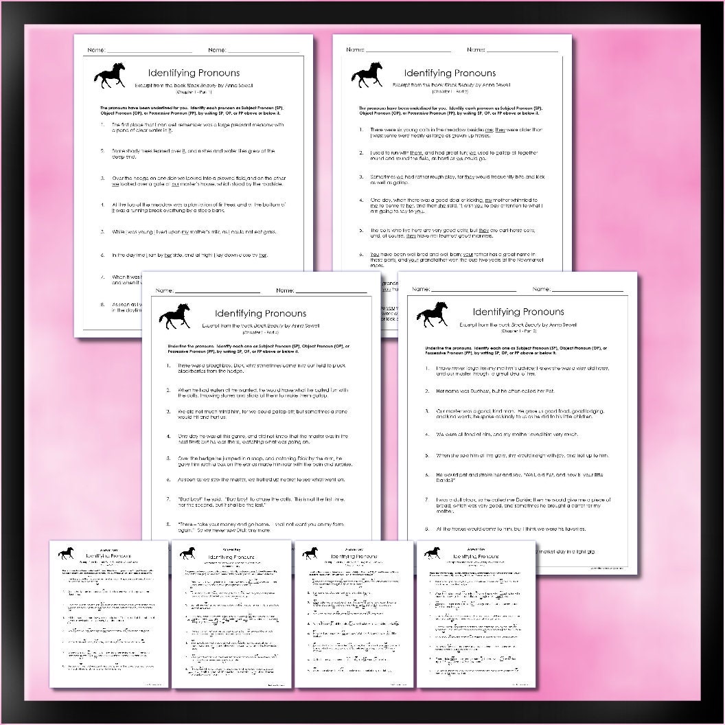Identifying Pronouns - Subject/object/possessive - Black Beauty ...