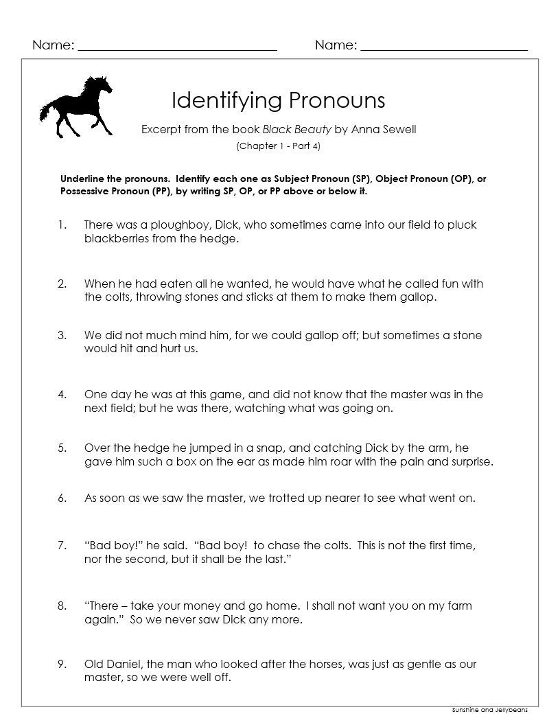 Identifying Pronouns - Subject/object/possessive - Black Beauty ...