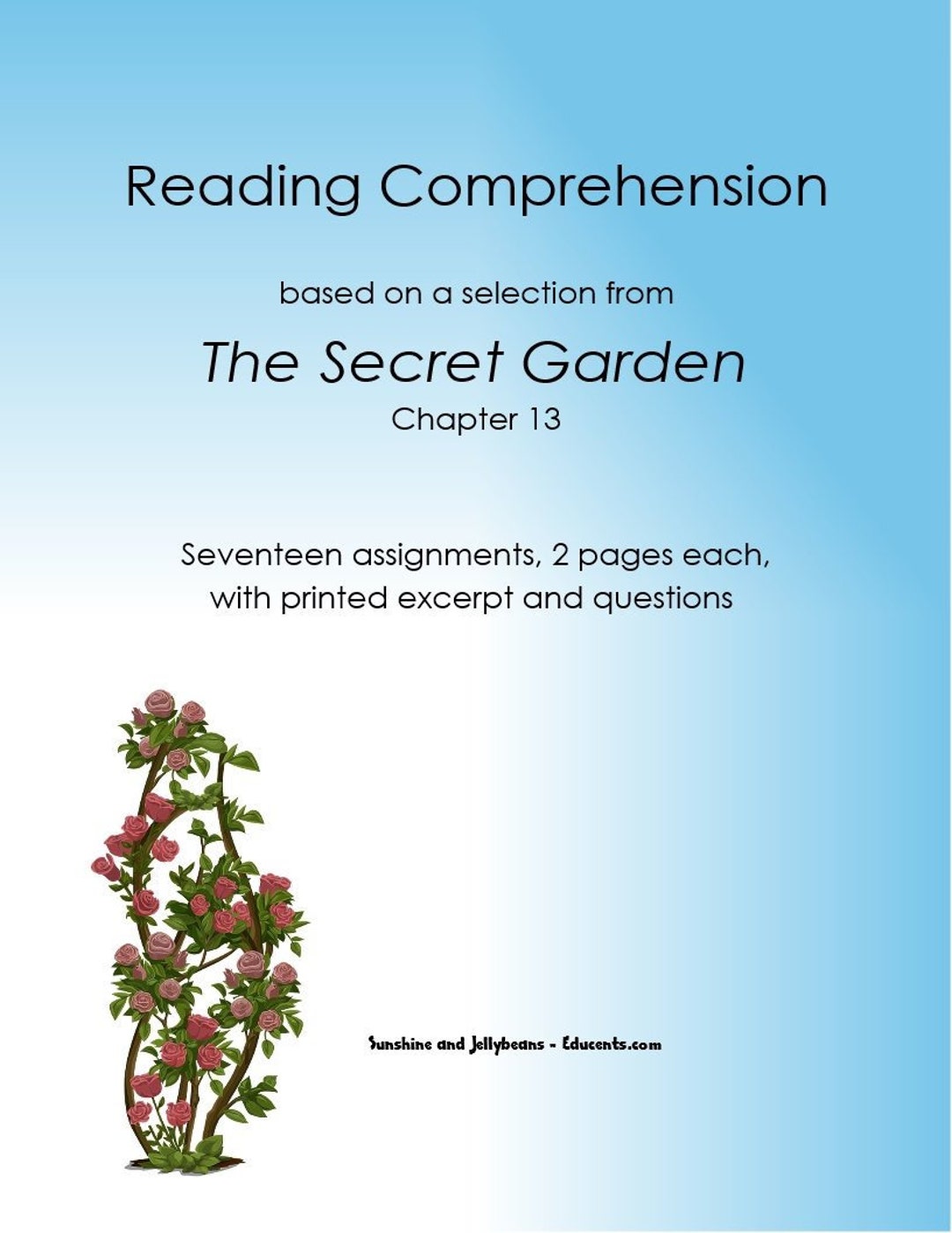 Reading Comprehension the Secret Garden - Etsy