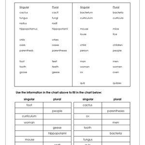 Types of Nouns: Abstract, Concrete, Possessive, Plural, Irregular ...