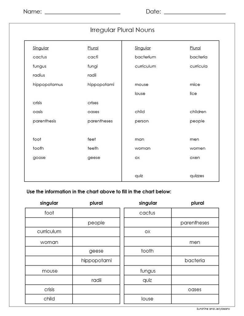 Types of Nouns: Abstract, Concrete, Possessive, Plural, Irregular ...
