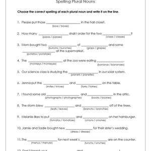 Types of Nouns: Abstract, Concrete, Possessive, Plural, Irregular ...
