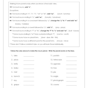 Types of Nouns: Abstract, Concrete, Possessive, Plural, Irregular ...