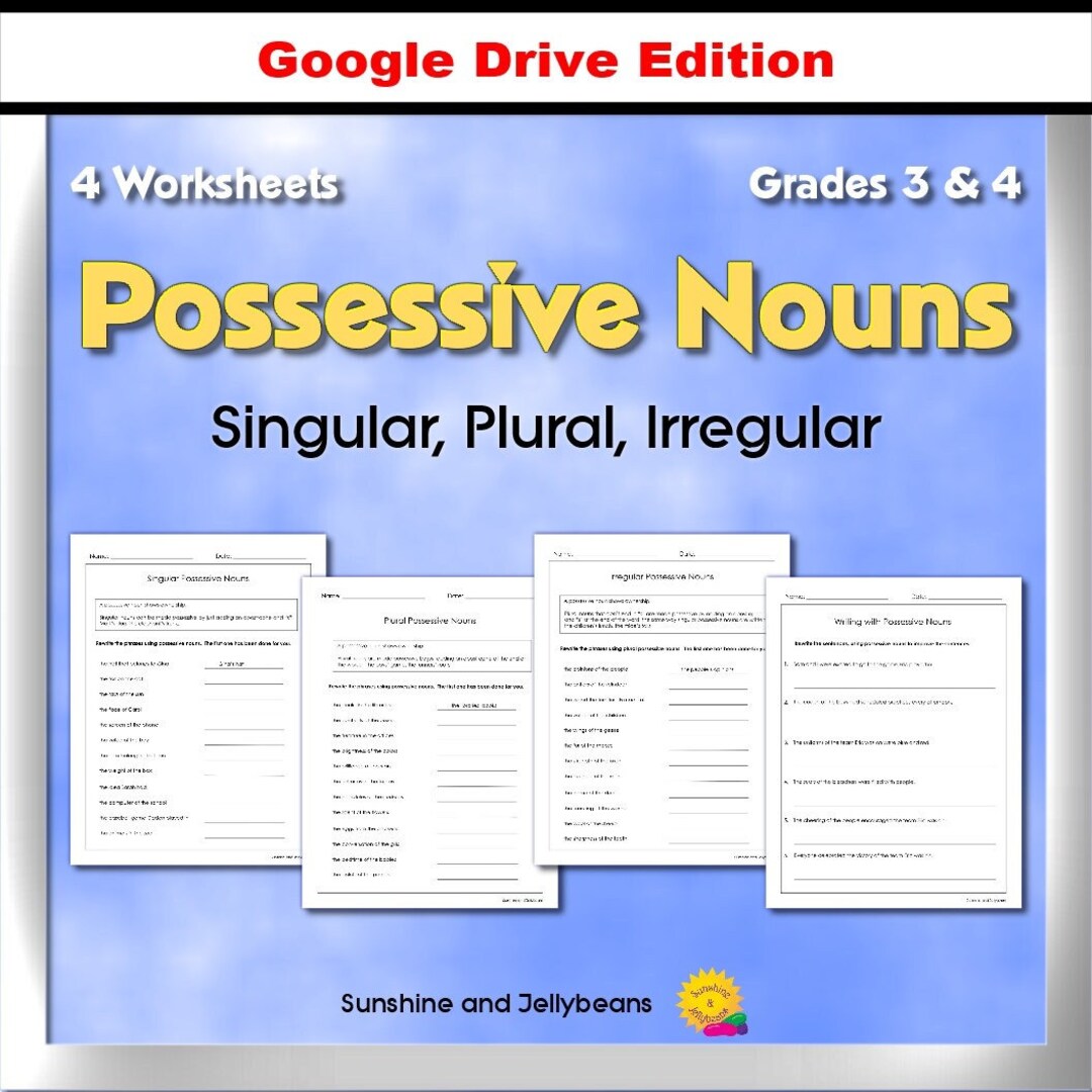 Possessive Nouns Singular-plural-irregular 4 Worksheets - Etsy