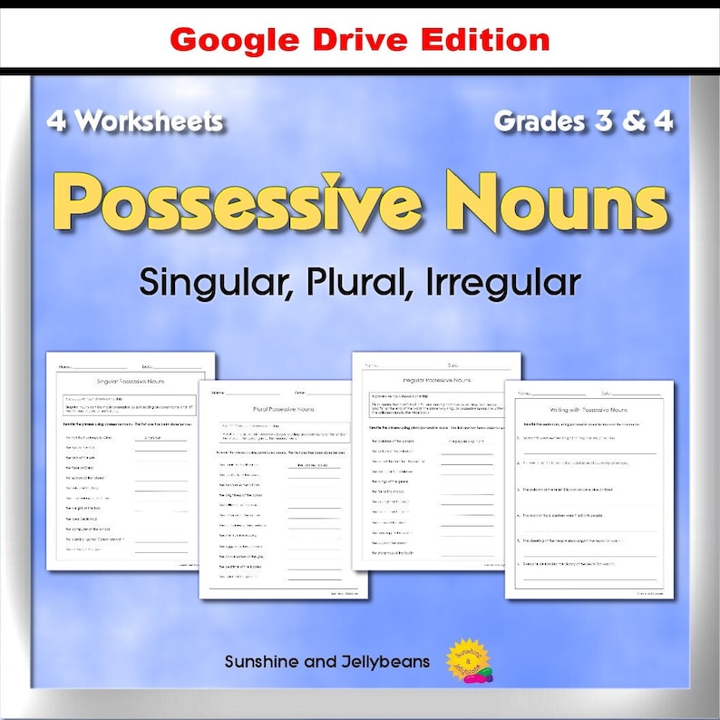 Possessive Nouns Singular-plural-irregular 4 Worksheets - Etsy