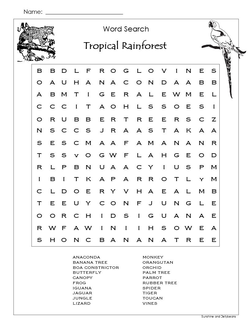 55 Word Search Puzzle Bundle Science, Holidays, Geography, Habitats ...