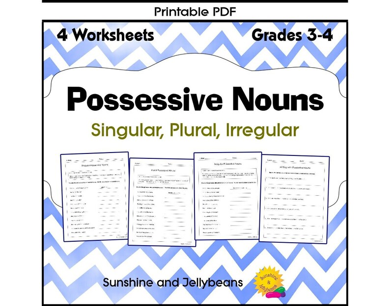 Possessive Nouns - Singular Plural Irregular - Grammar Writing No-prep ...