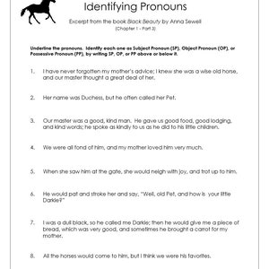 Identifying Pronouns - Subject/object/possessive - Black Beauty ...