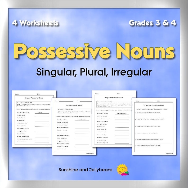 Possessive Nouns Singular-plural-irregular 4 Worksheets - Etsy