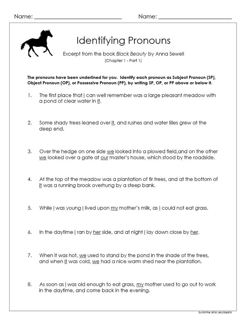 Identifying Pronouns - Subject/object/possessive - Black Beauty ...