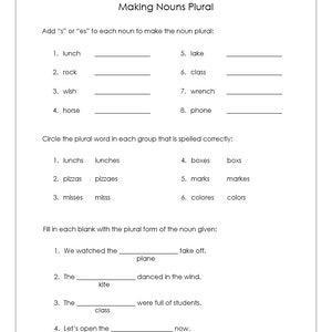 Plural Nouns - Regular and Irregular - 8 Worksheets - Grades 2-3 - CCSS ...