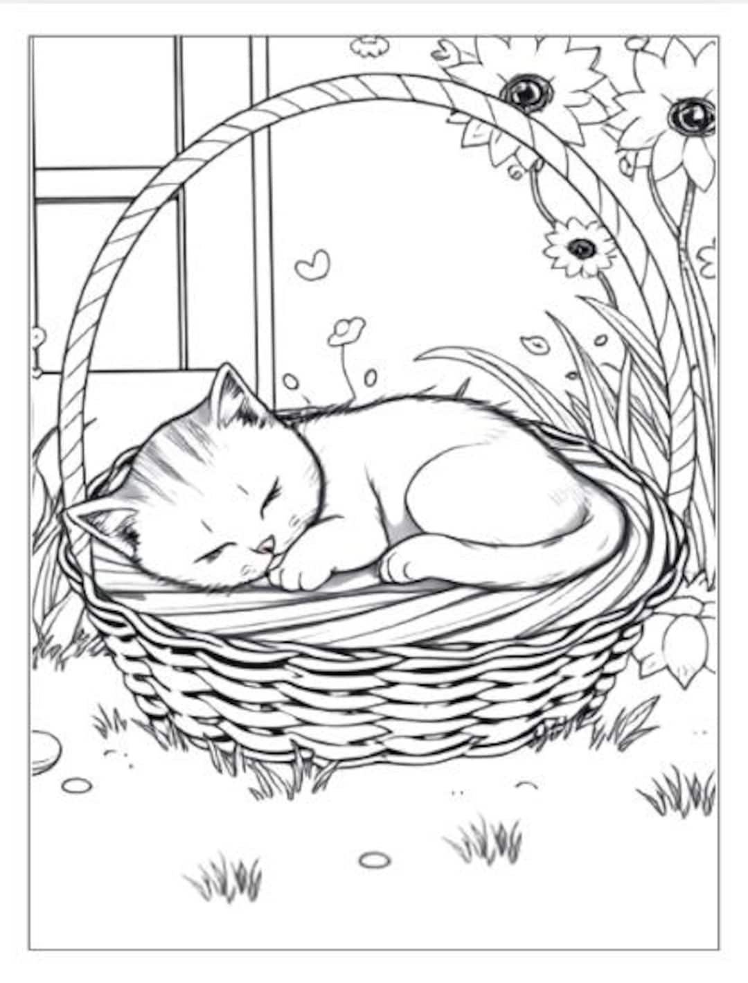 25 Cute Kitten Coloring Pages, Cute Cat Coloring Pages, Cat Coloring ...