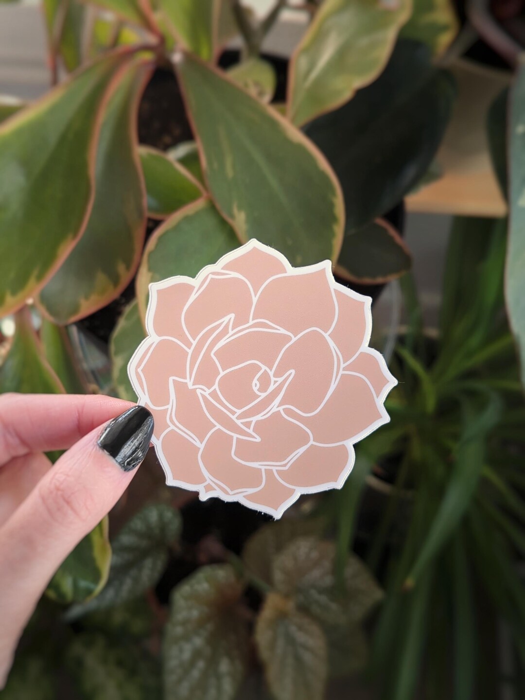Pink Agave Succulent Sticker: Floral Laptop Decal - Etsy
