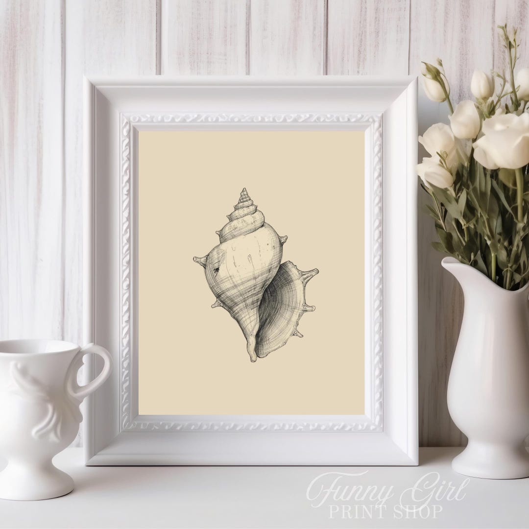 Vintage Seashell Illustration | Coastal Wall Art | Neutral Nautical ...