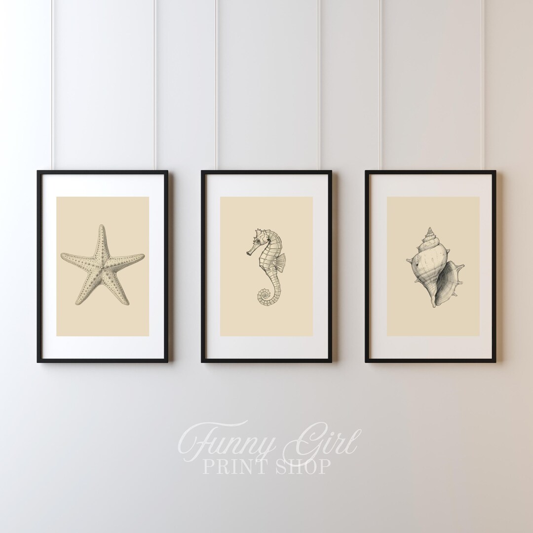Vintage Shell Coastal Printable Art Set of 3 | Neutral Nautical Wall ...