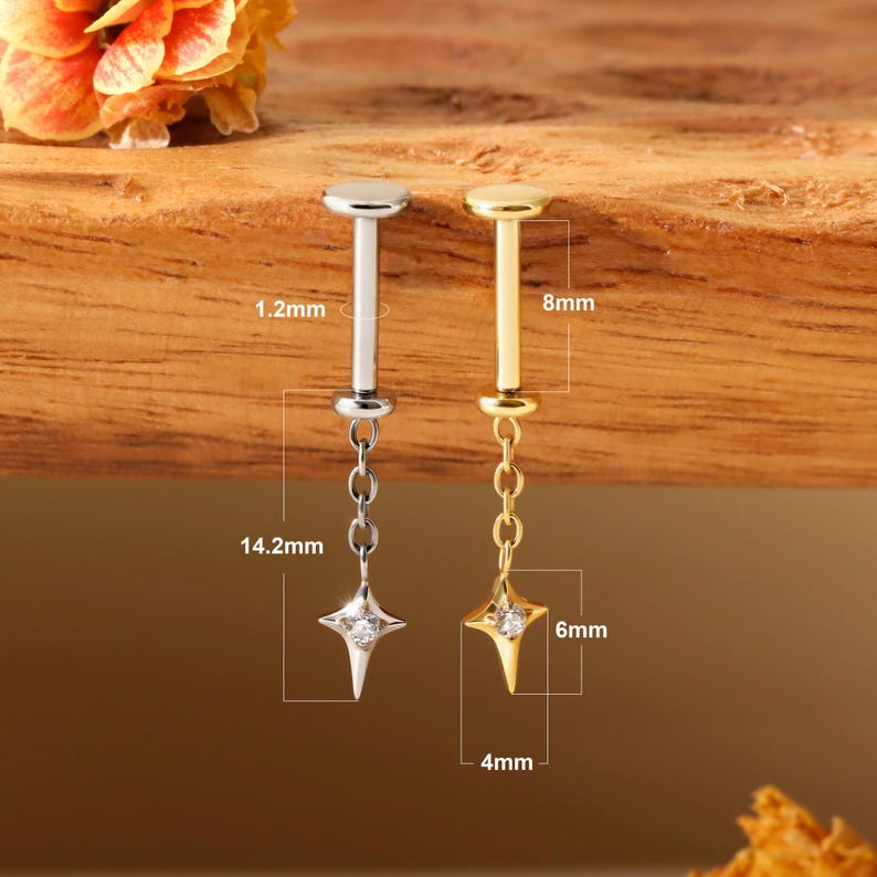 Titanium Star Hidden Rook Dangle Earring| 16G 18G Hidden Rook Piercing ...