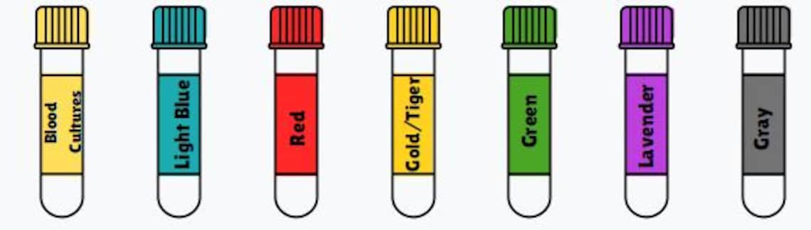 Order of Draw Cheat Sheet | Phlebotomy & MLS Study Guide | Blood ...