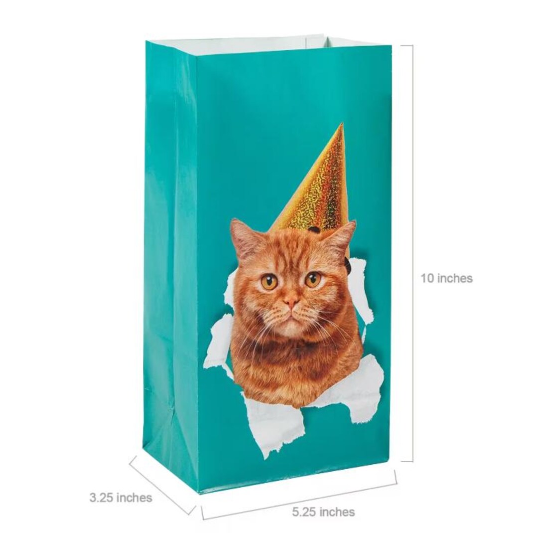 Colorful Party Cat Treat Bags | Cute Cat Party Favor Bags | Birthday ...
