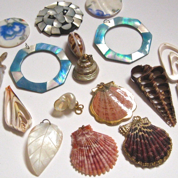 Shell Jewelry - Etsy