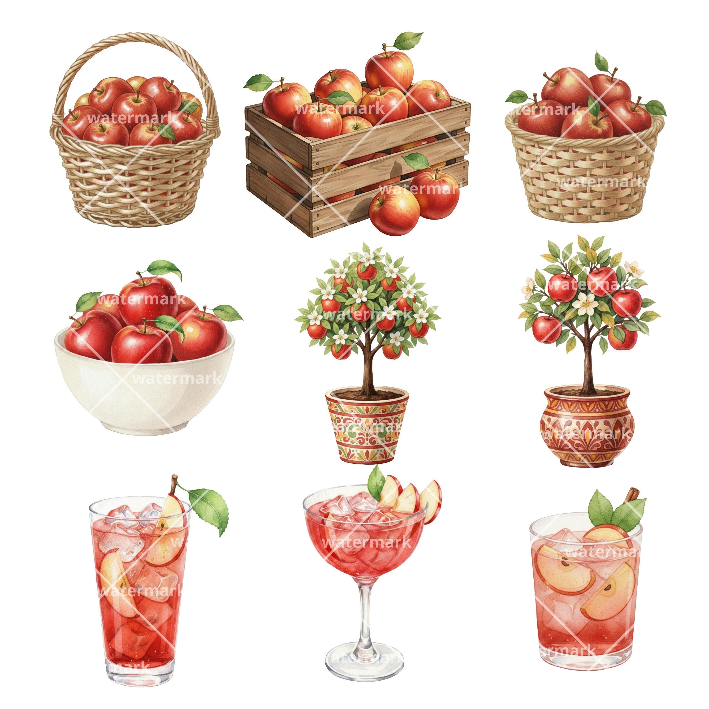 Watercolor Apple Clipart PNG Red Apple Clipart Bundle for Kitchen Decor ...