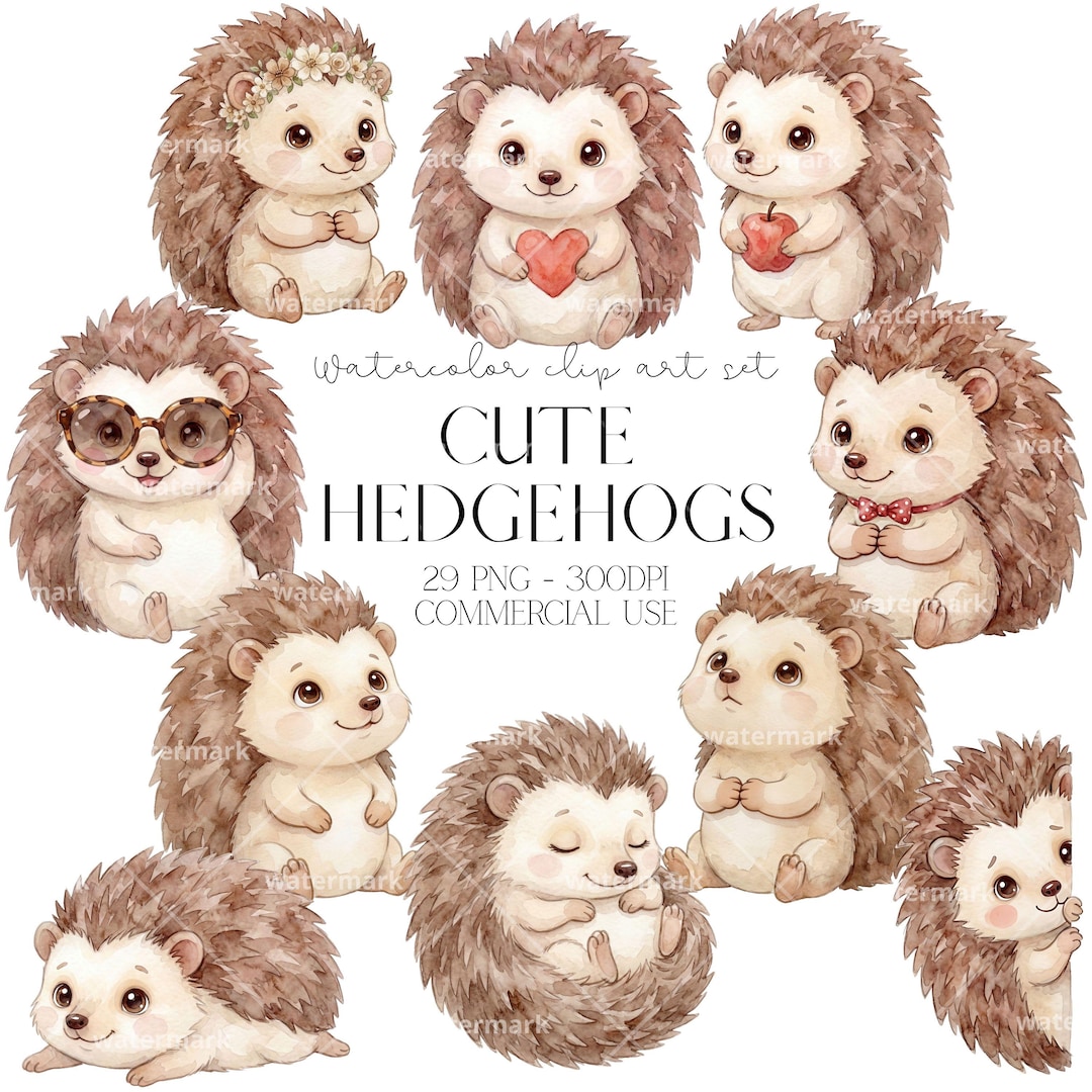 Cute Hedgehogs Watercolor Clipart Bundle PNG Hedgehog Birthday ...