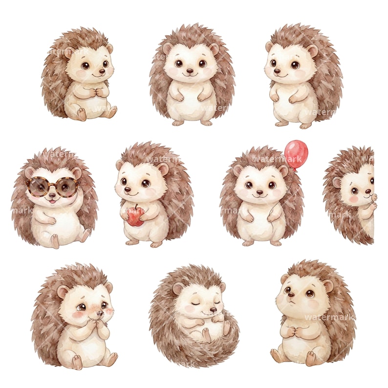 Cute Hedgehogs Watercolor Clipart Bundle PNG Hedgehog Birthday ...