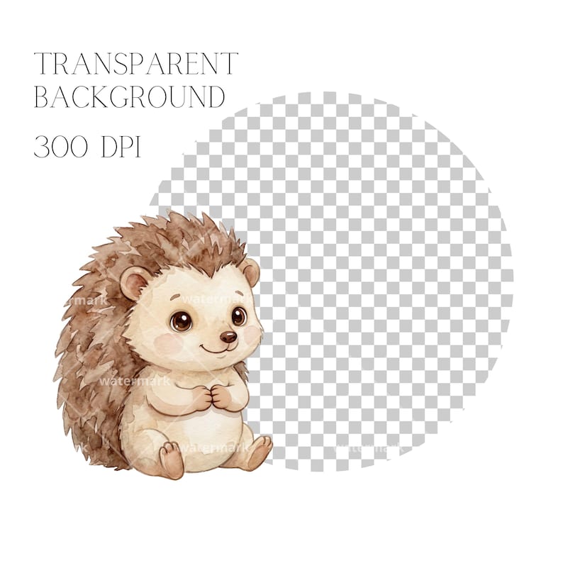 Cute Hedgehogs Watercolor Clipart Bundle PNG Hedgehog Birthday ...