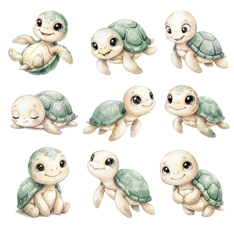 Cute Turtles Clipart Watercolor PNG Turtle Clipart Bundle Birthday ...