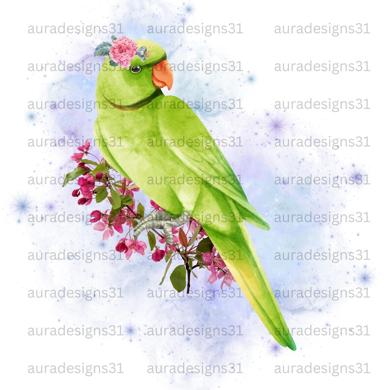 Parrot Digital Clip Art | High Resolution 300 DPI | JPG Clipart Set ...