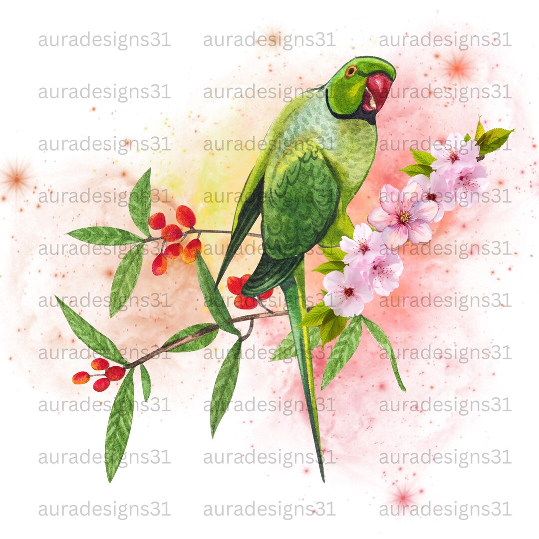 Parrot Digital Clip Art | High Resolution 300 DPI | JPG Clipart Set ...
