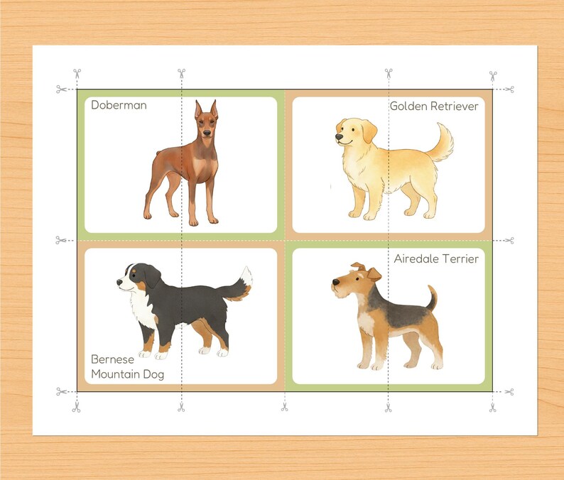 Dog Breeds Matching Game | Montessori Puzzle Cards (PDF Download) - Etsy