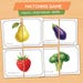 Fruits, Vegetables and Herbs Matching Game | Printable Montessori ...