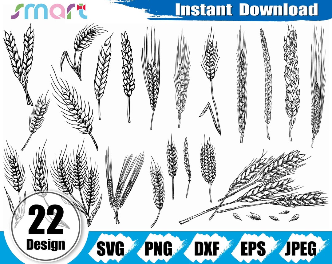 Hand-drawn Grain SVG Bundle: Wheat, Barley, Farm Clipart (digital ...