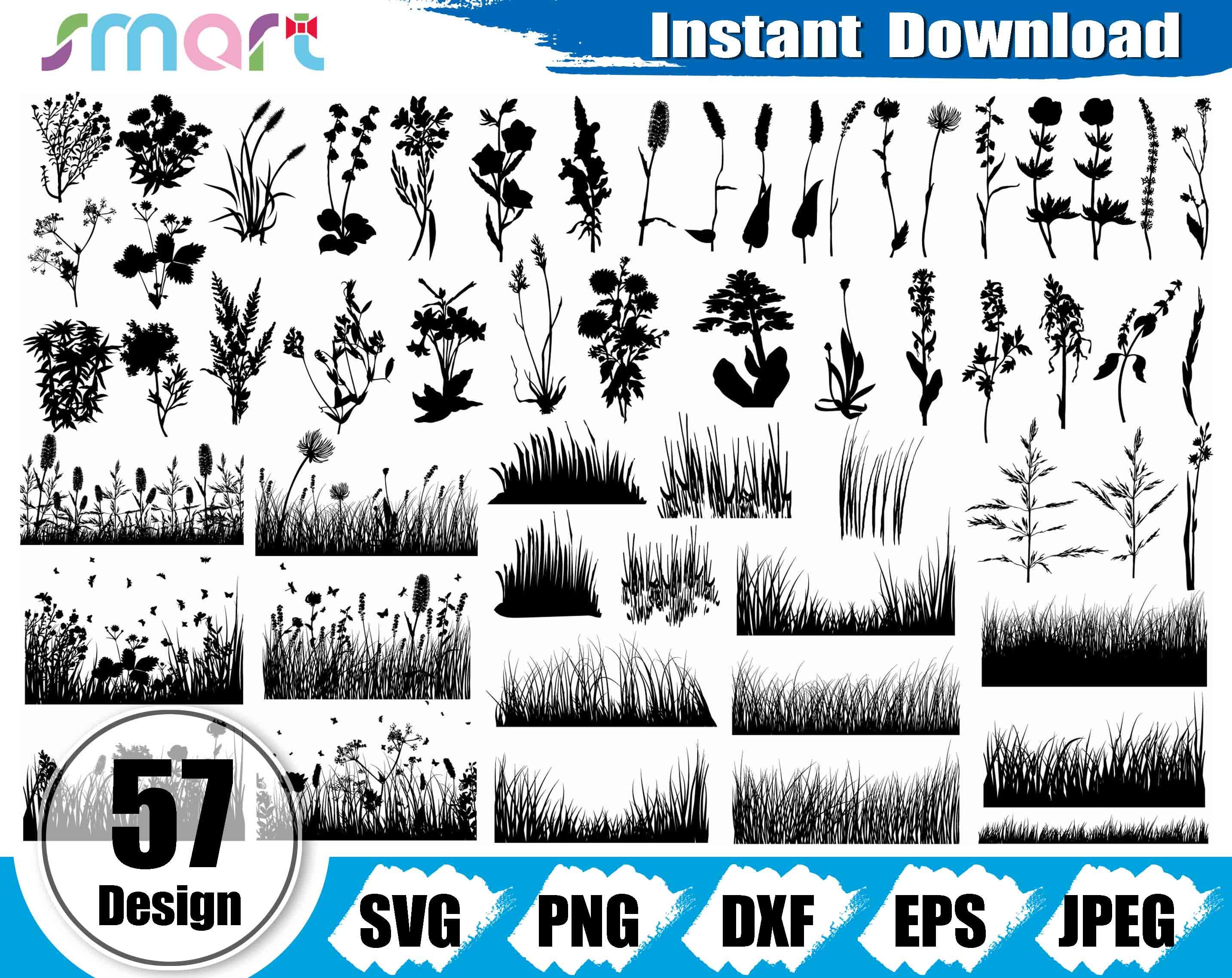 Grass Svg BundleWild Grass border svgFlower branch svgGrass | Etsy