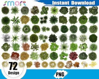 Landscape Tree Clipart, Tree Plan View, Flat Tree Clipart, Plant Top ...