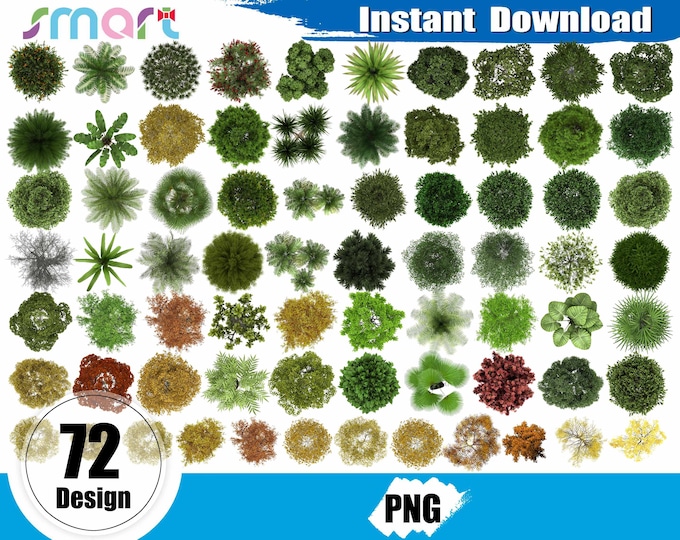 Tree Top View, 2D Landscape Clipart in PNG - Etsy Canada